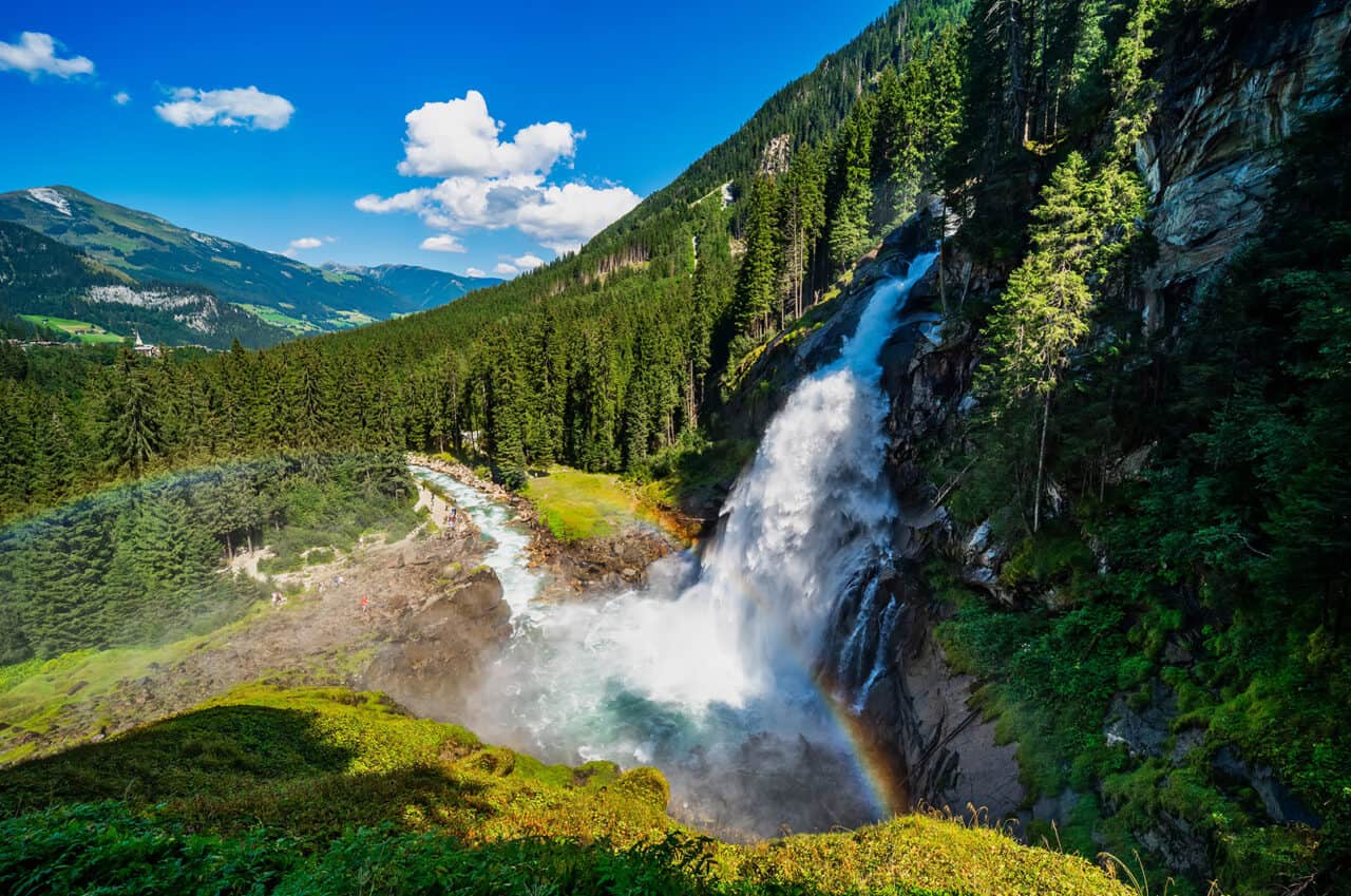 Kennen sie die 4 Funktionen des Waldes? - Waldgeschichten