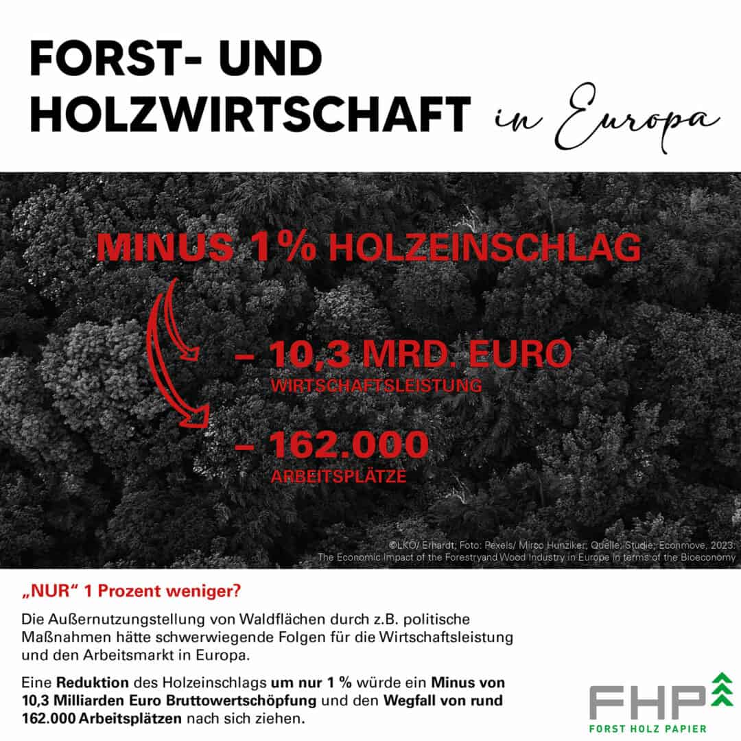Forst- und Holzwirtschaft – Rolle für die Wertschöpfung in Europa enorm! - Waldgeschichten